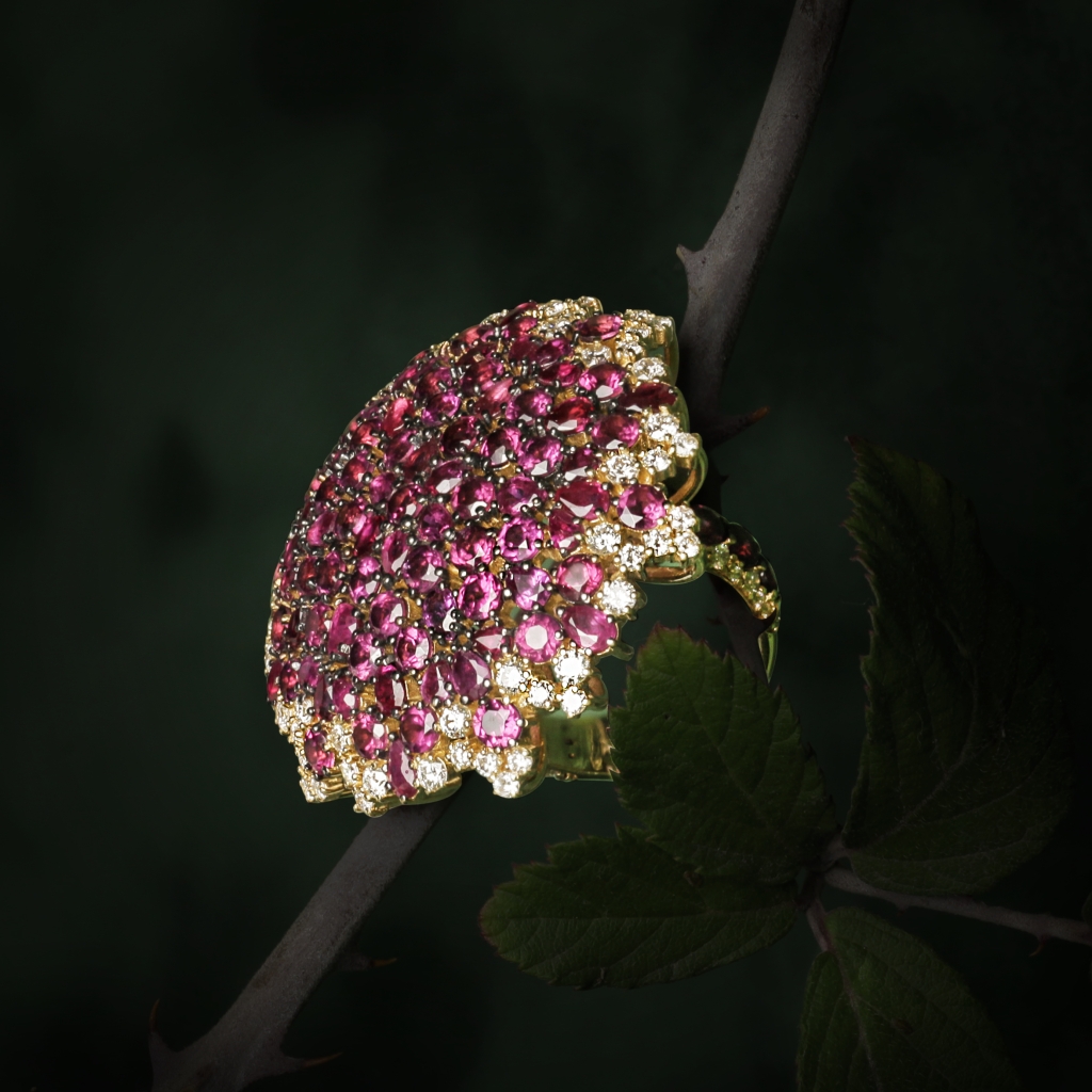 The presentation of the “Albanian Precious Fruits” Collection